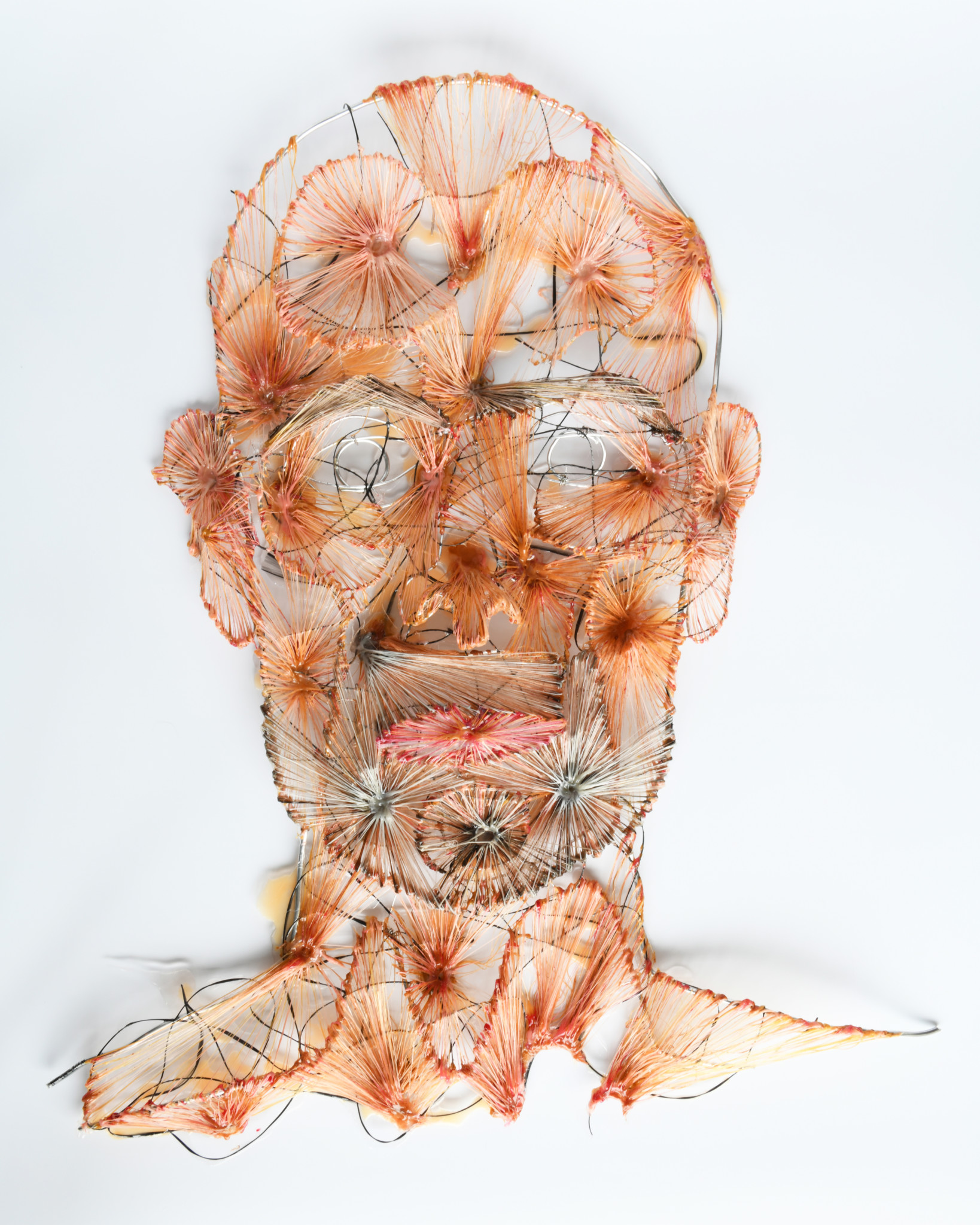 Mark Humphrey - About